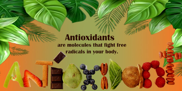 The Art of Herbal Nutrition : Unleash the Healing Potential of Nature ...